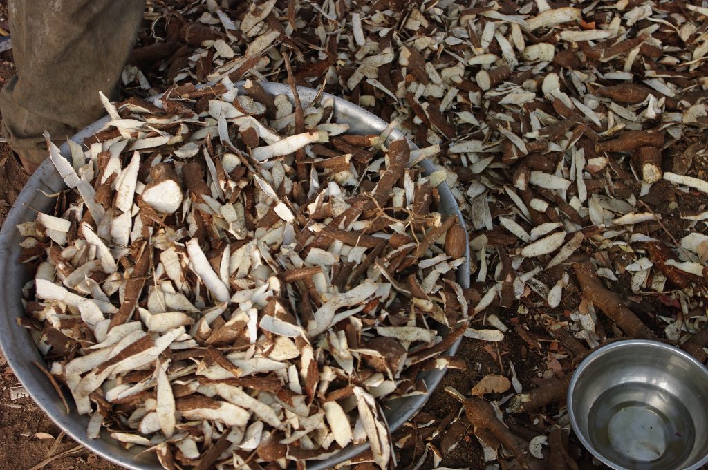 CASSAVA BIOWASTE COULD BE A GAMECHANGER IN THE DEVELOPMENT OF ...