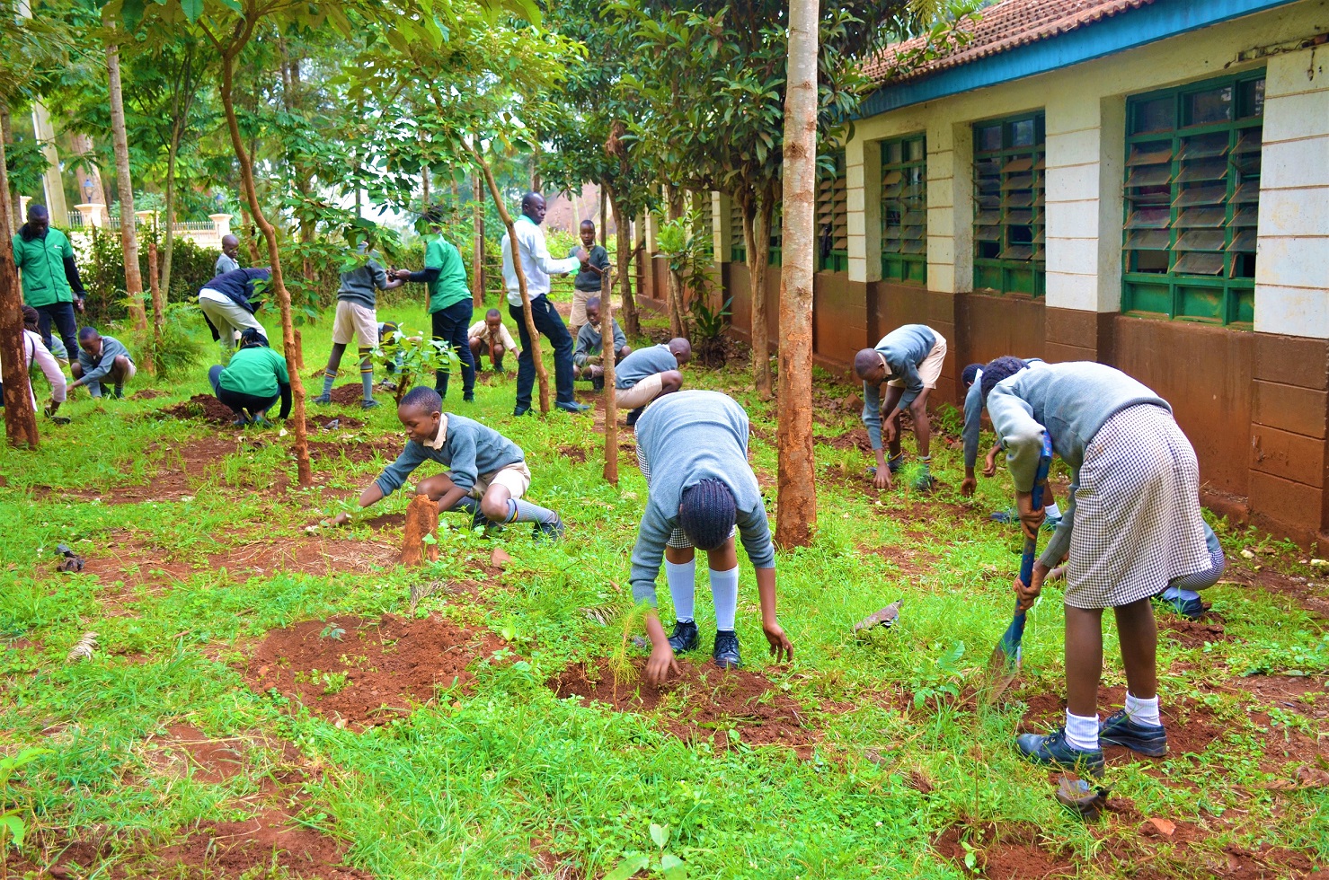 NACOSTI TAKES PART IN TREE PLANTING TO SUPPORT THE CAMPAIGN FOR ...